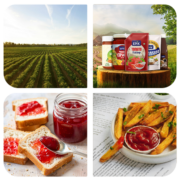 Epik Foods – Best Sauce and Ketchup Company in India